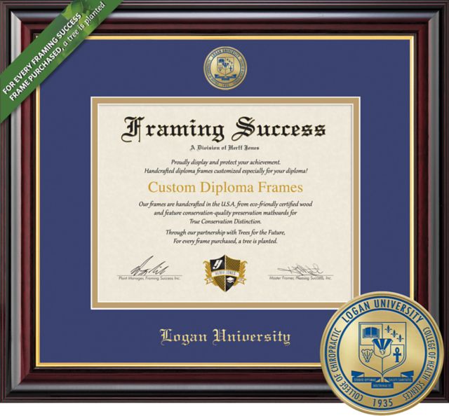 Logan University 11'' x 14'' Windsor Diploma Frame | Framing Success ...